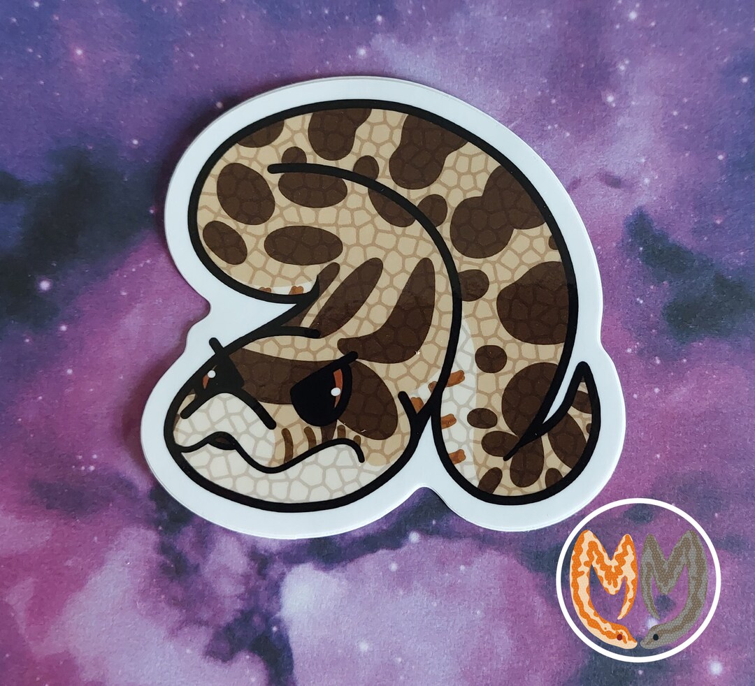 Western Hognose Snake Vinyl Sticker - Etsy