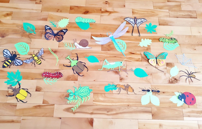 Bug Wall Decals: Insect Theme, Birthday Party Decor - Etsy