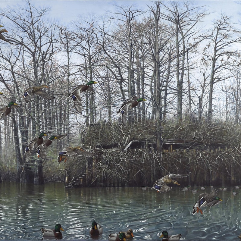 Unlimited Duck Prints - Etsy