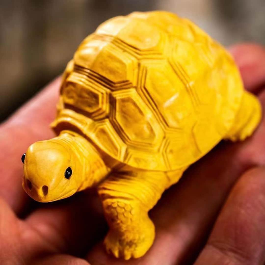 Chinese Arborvitae Wood Carving Tortoise - Etsy