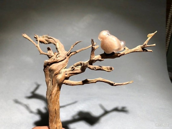 Bonsai Suiseki Natural Gobi Alashan Stone Bird 081501 - Etsy