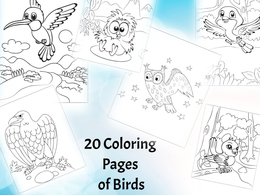 20 Birds Coloring Pages Digital Download - Etsy