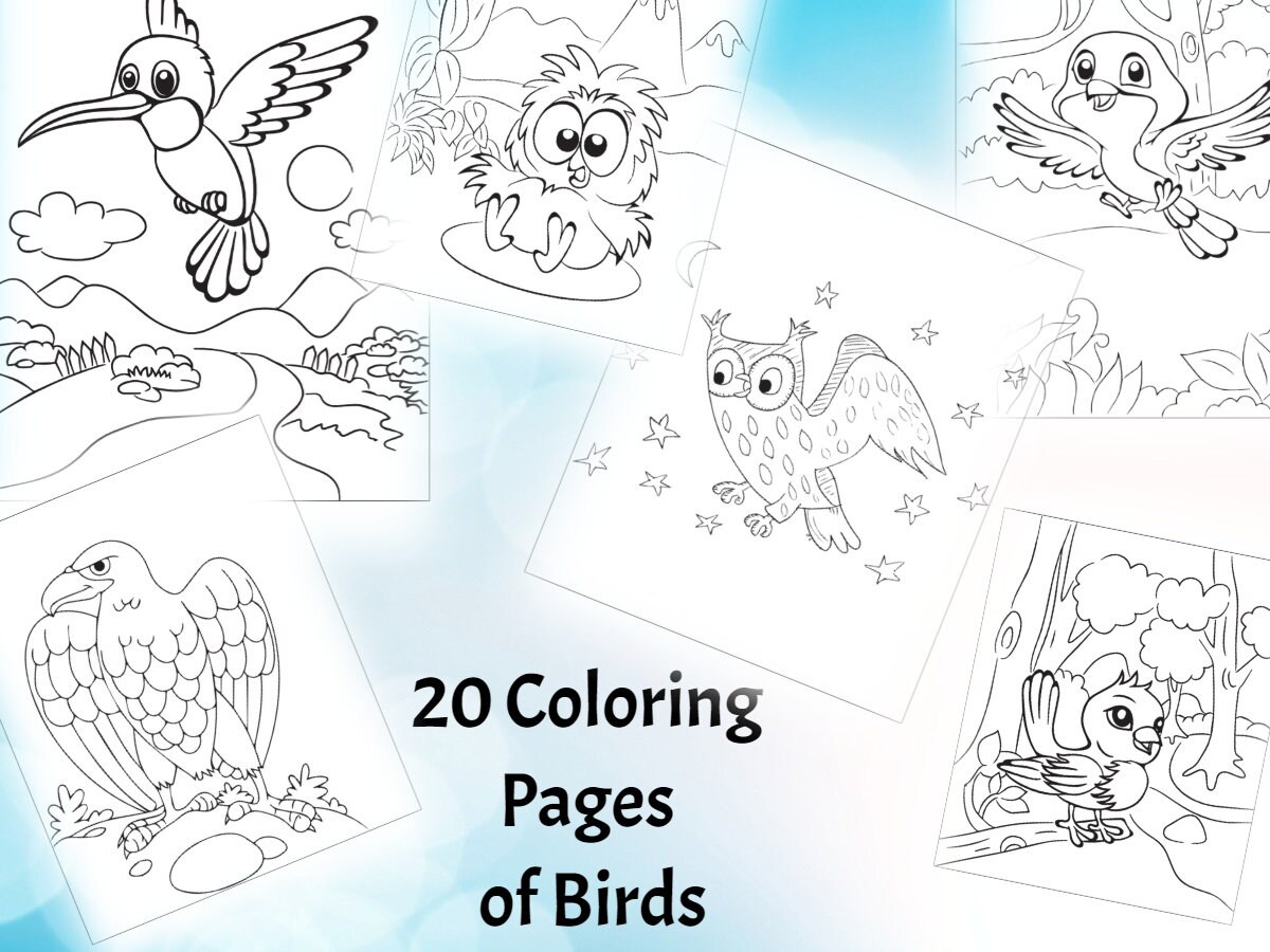 20 Birds Coloring Pages Digital Download - Etsy