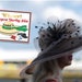 Derby Day Hat Contest Printable, Kentucky Derby Hat Contest, Best Derby ...