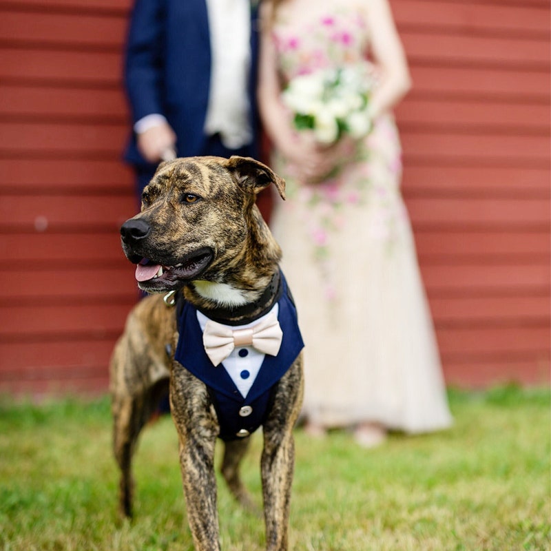 Dog Suit Custom Ring Bearer - Etsy