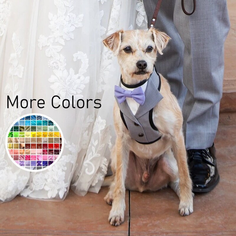 Wedding Dog Harness - Etsy
