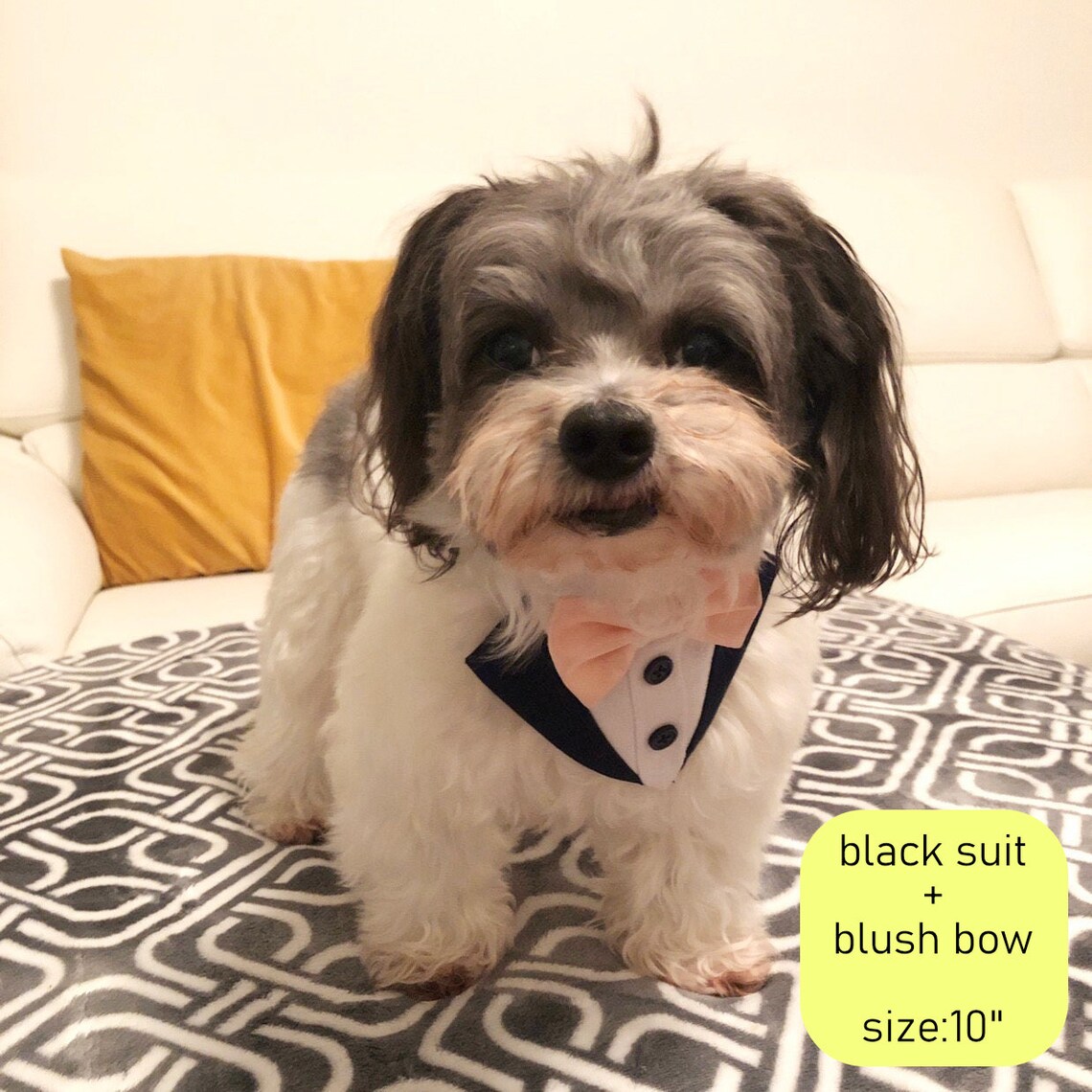 More Colors Available Navy blue dog tuxedo bandana dog | Etsy