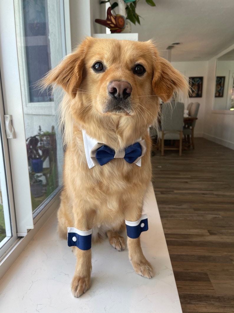Dog Cuffs Custom Dog Tuxedo Cuffs for Wedding Dog Wedding - Etsy