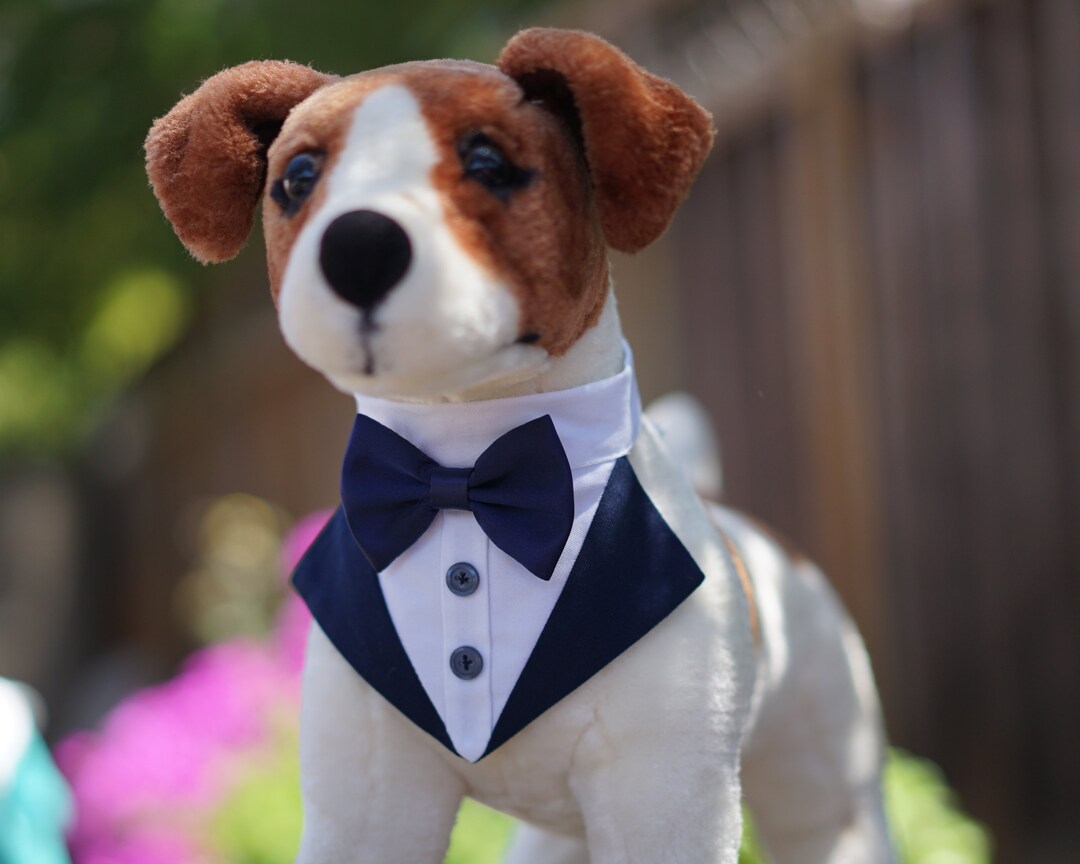 More Colors Available navy Blue Dog Tuxedo Bandana, Dog Bowtie Collar, Dog Tuxedo Bib, Dog ...