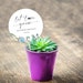 Succulent Thank You Sticks, Wedding Succulent Toppers, 12 Let Love Grow ...