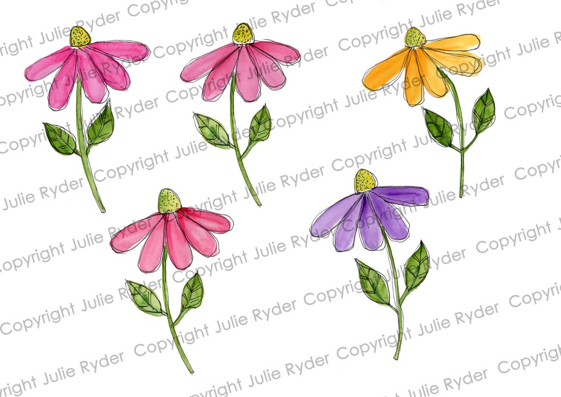 Watercolor Daisy Flower Clipart: Hand-painted Digital Stickers, Collage ...
