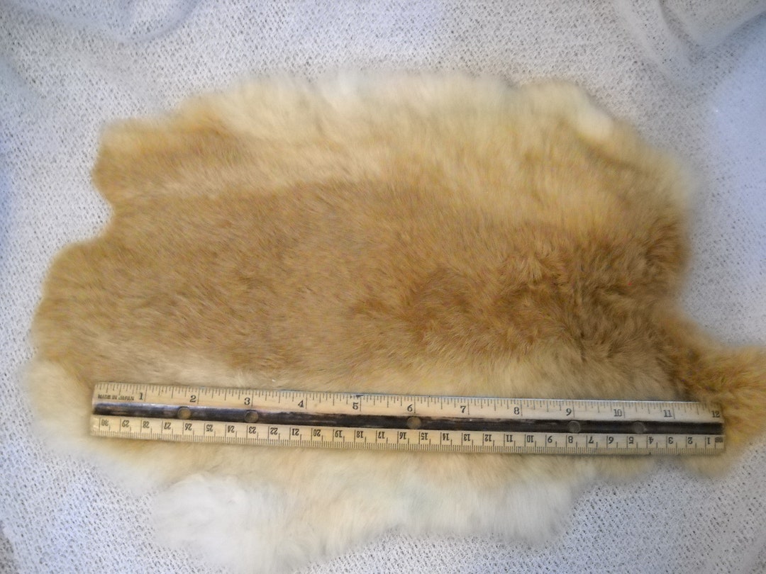 1972 Small Rabbit Pelt With Inscription - Etsy