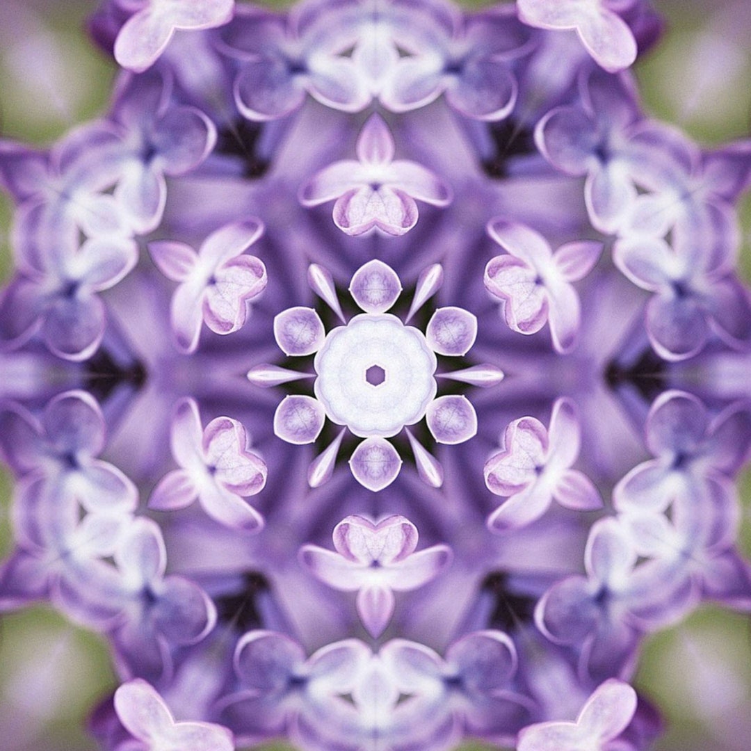 Lilac Mandala - Etsy