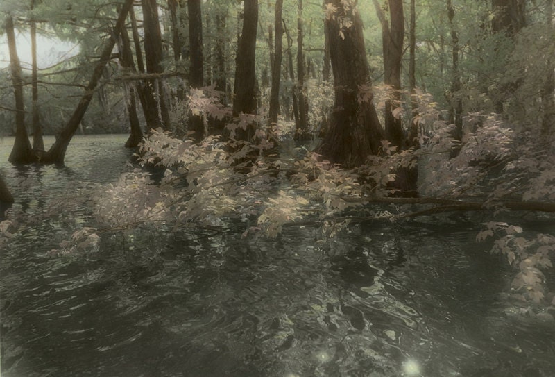 TCHEFUNCTE RIVER, Print on Paper - Etsy