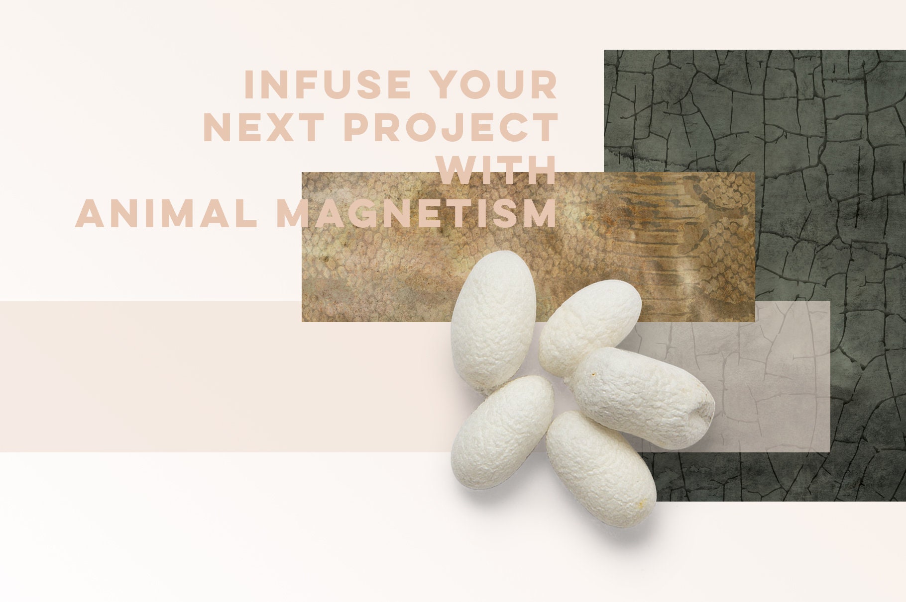 Wild Animal Skin Printable Digital Backgrounds Crocodile, Zebra, Snake ...