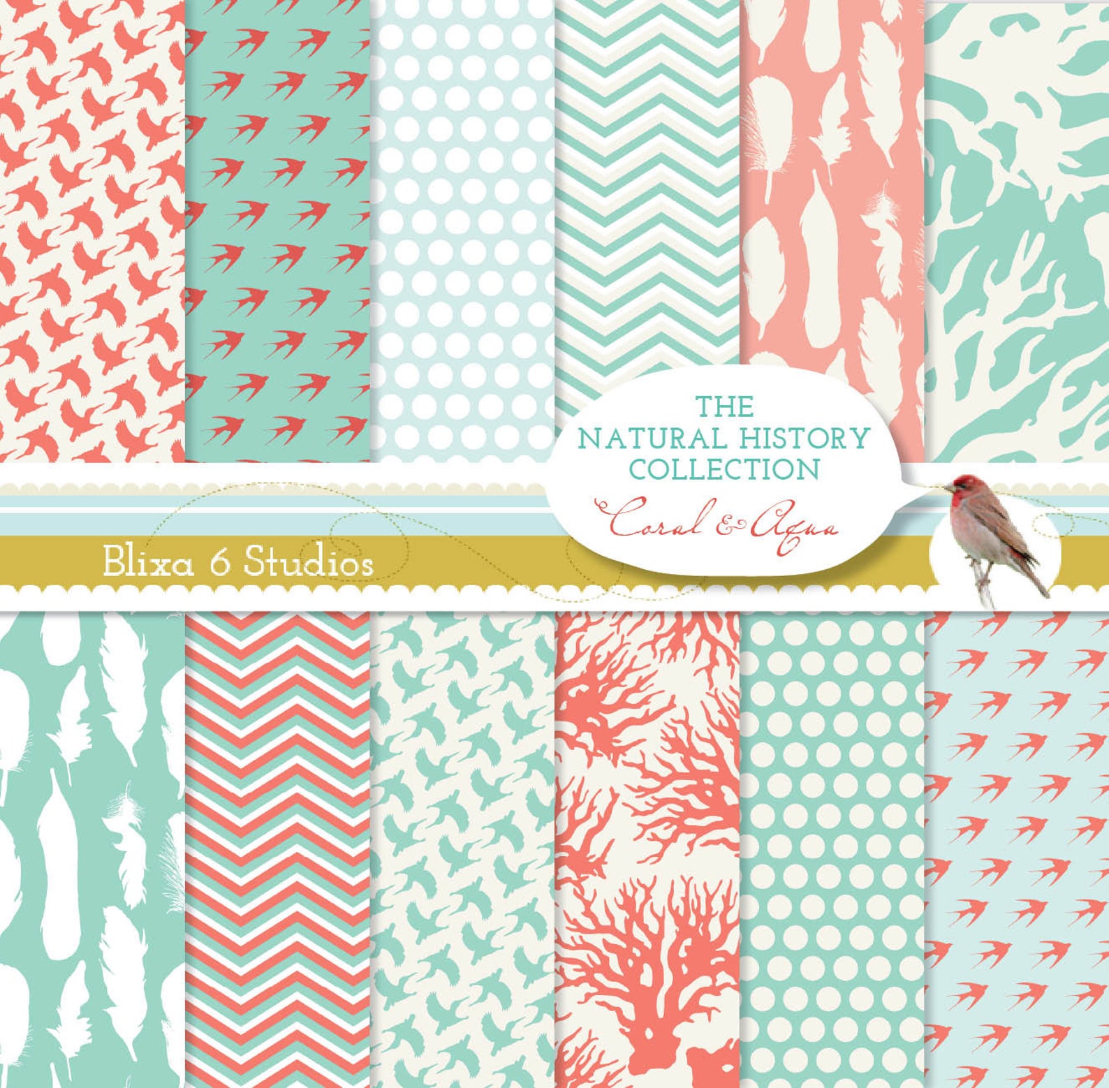 Coral & Mint Digital Paper Natural History Collection of 12 Printable ...