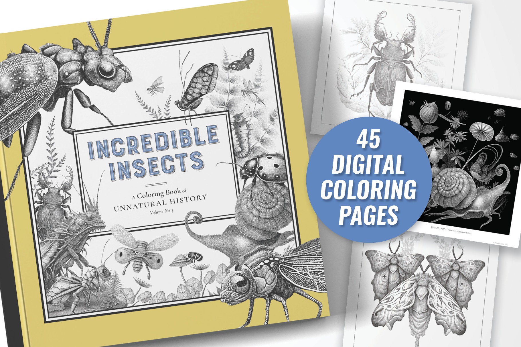 45 Printable Coloring Pages Incredible Insects: Digital - Etsy
