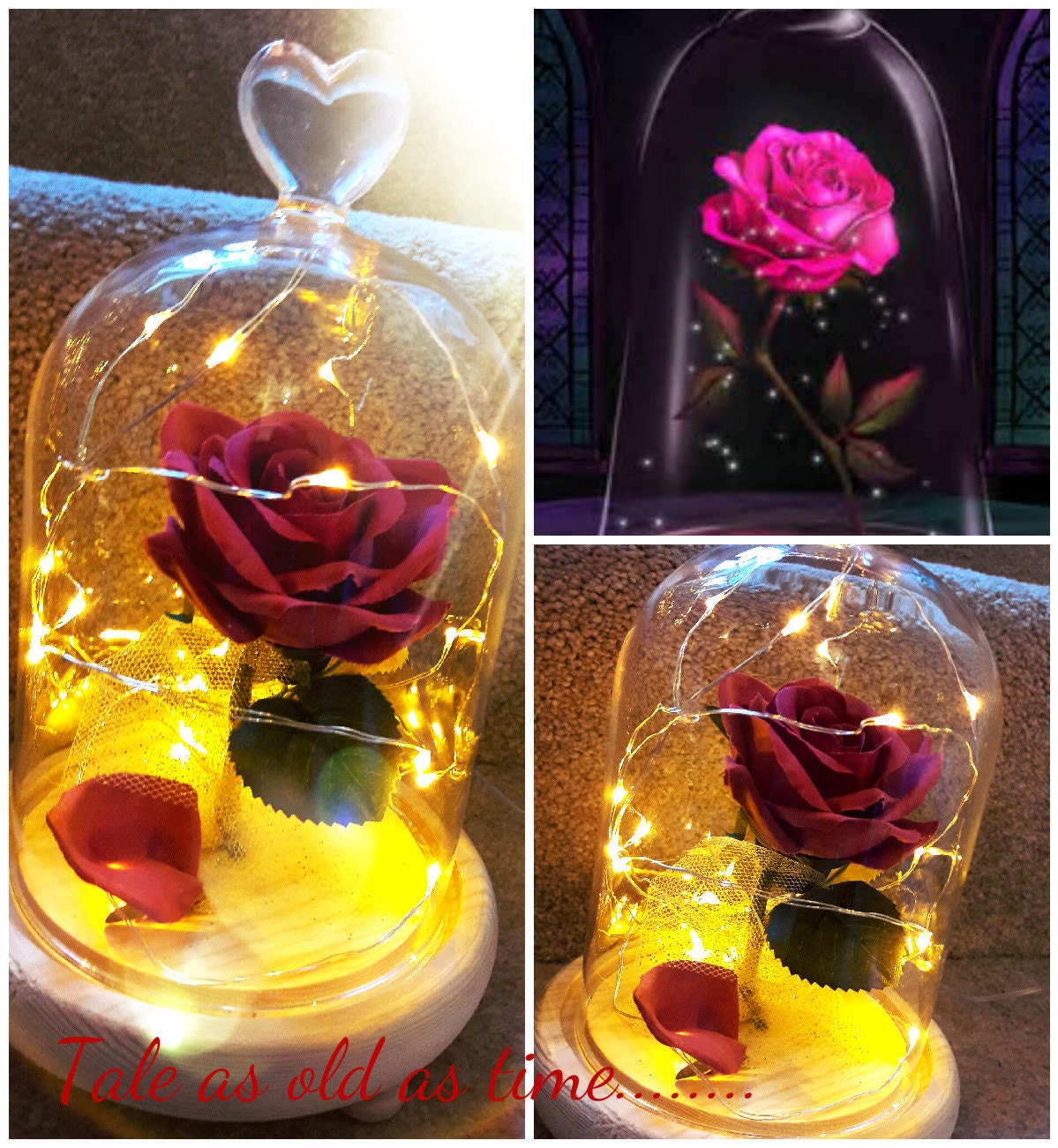 Enchanted rose from Beauty & The Beast