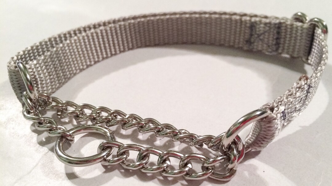 Half Check Chain Dog Collar - Etsy
