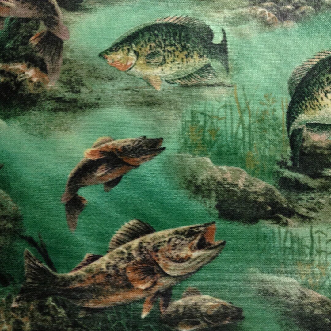 One Half Yard of Fabric - Swimming Fish, Fishing Fabric - Etsy