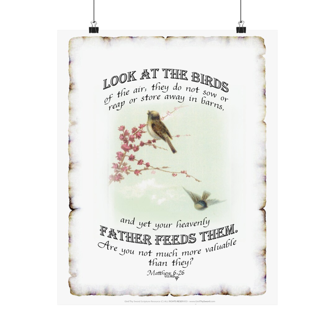 Matthew 6:26 Look at the Birds Father Feeds Them 16" X 20" &24" X 36 ...