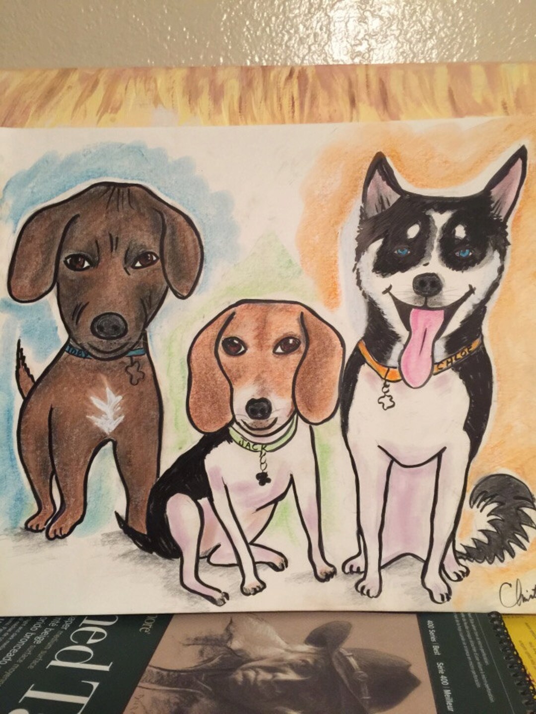 3 Pets Caricature Drawing,14x17 ,pet Cartoon,pet Caricature,funny Pet ...