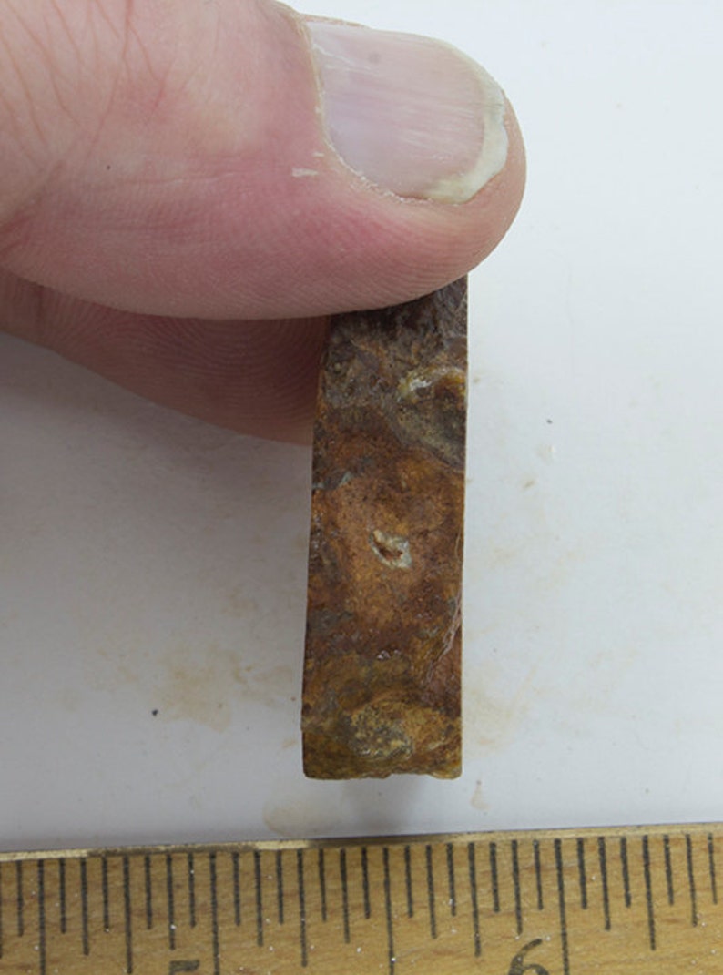 Druzy Fossil Jasper, 30g, Silicified Fossil-bearing Jasper, Druzy ...
