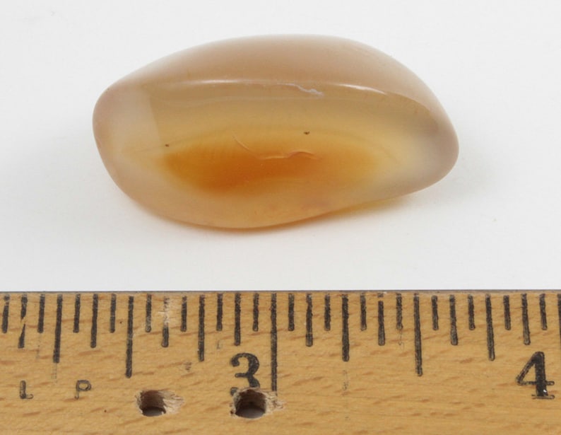 Polished Carnelian Cabochon Orange Chalcedony Agate - Etsy
