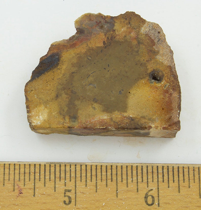 Druzy Fossil Jasper 30g Silicified Fossil-bearing Jasper | Etsy