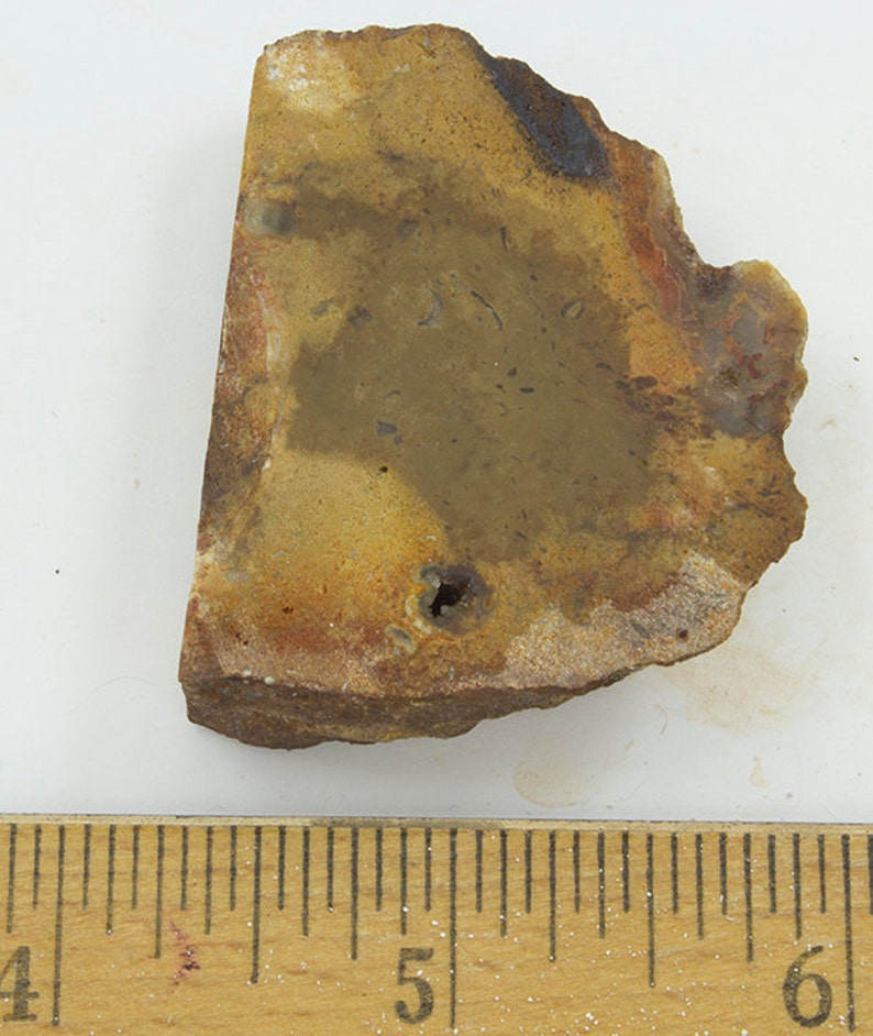 Druzy Fossil Jasper 30g Silicified Fossil-bearing Jasper | Etsy