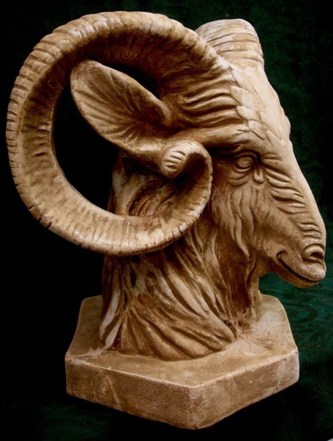 Vintage Antique Finished Ram Head With Horns Limited Edition | Etsy