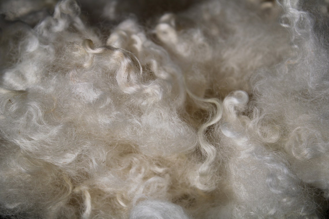 Cotswold Natural Rare Breed Sheep Wool 50g Bag-hand Picked | Etsy UK