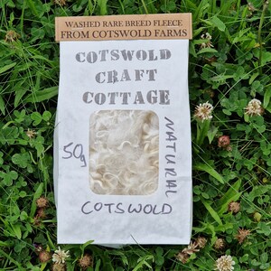 Cotswold Natural Rare Breed Sheep Wool 50g Bag-hand Picked and Suint ...