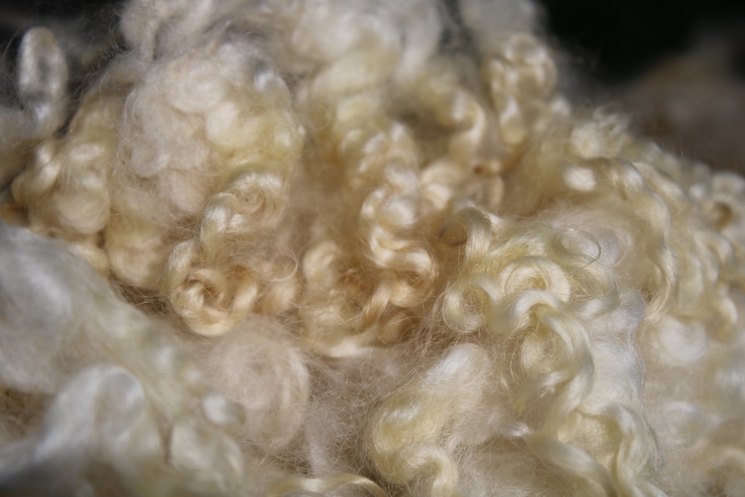 Cotswold Natural Rare Breed Sheep Wool 50g Bag-hand Picked - Etsy UK