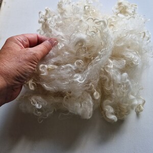 Cotswold Natural Rare Breed Sheep Wool 50g Bag-hand Picked and Suint ...