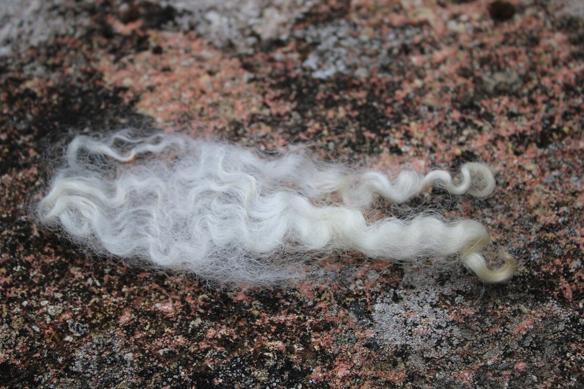 Cotswold Natural Rare Breed Sheep Wool 50g Bag-hand Picked | Etsy UK