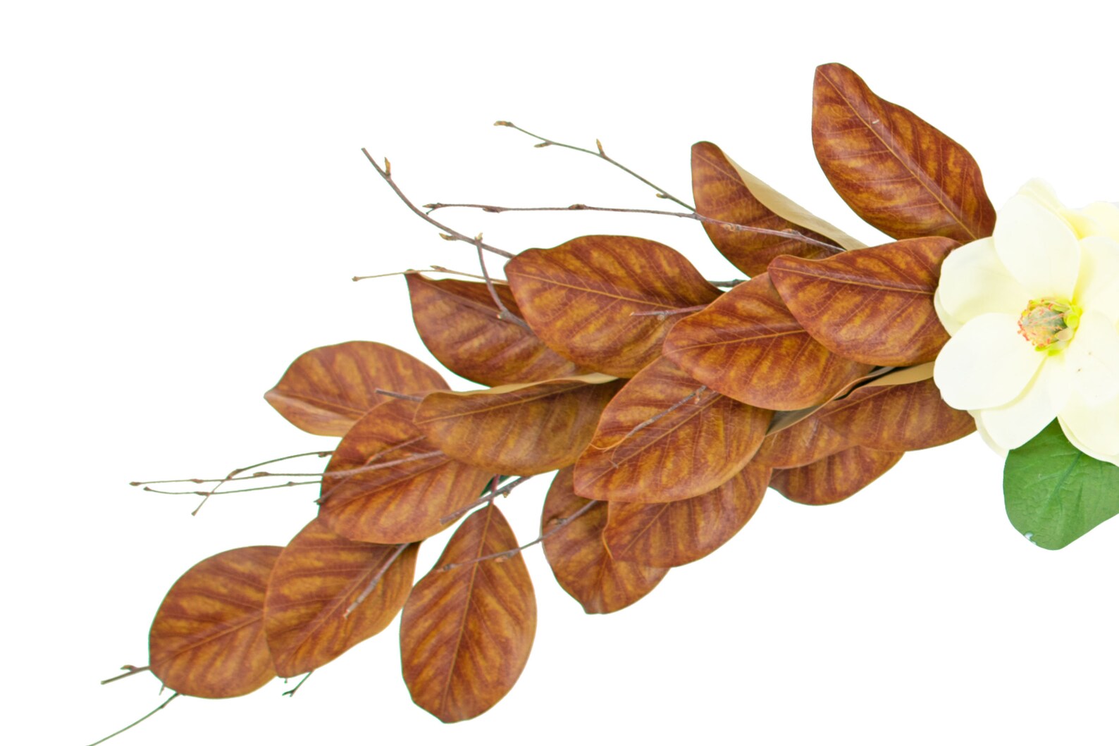 Artificial Magnolia Leaf Swag Brown Magnolia Leaves With White - Etsy