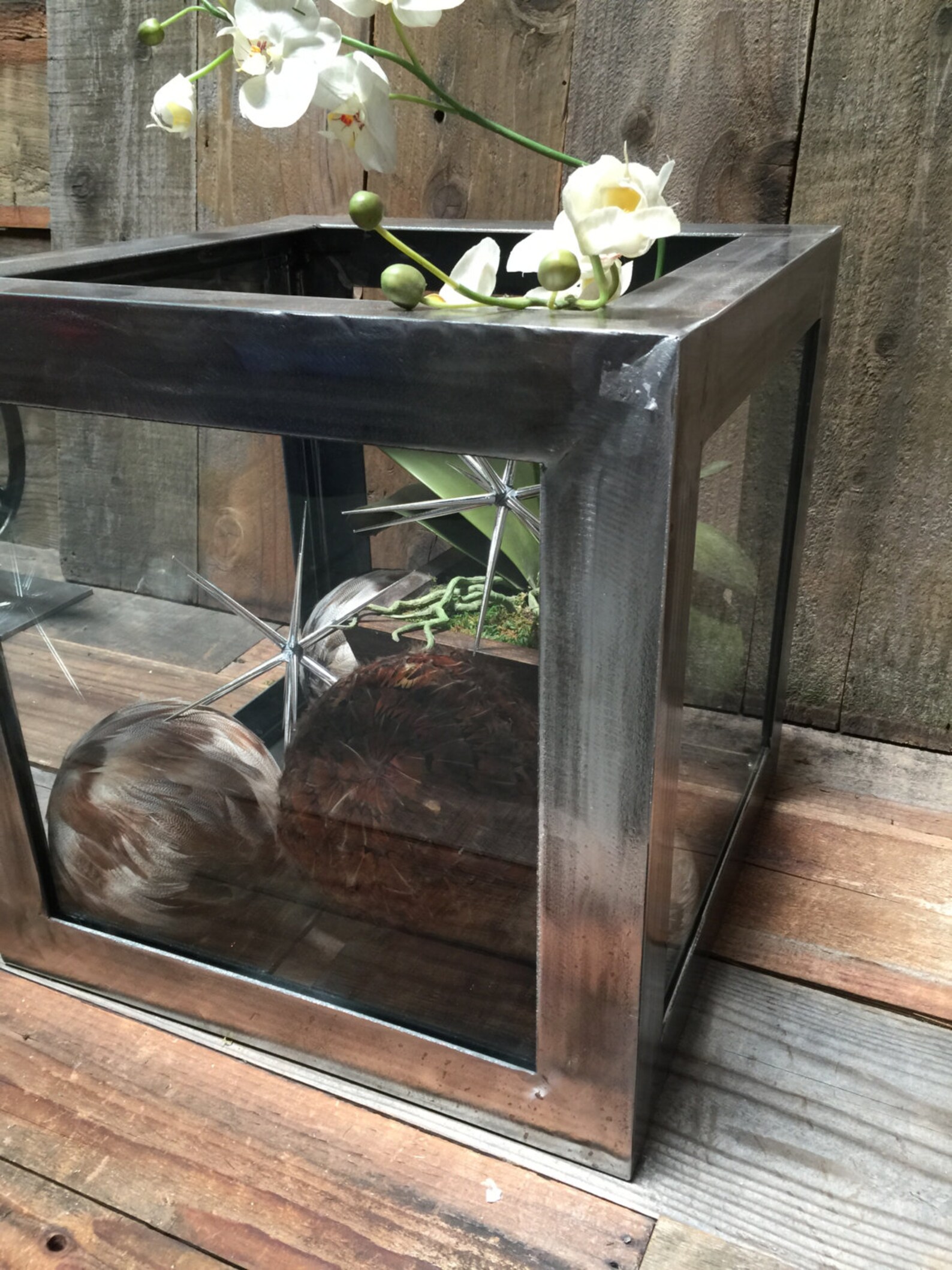 Steel Glass Terrarium Box Glass Showcase With Steel Frame 16in X 16in X ...