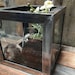 Steel Glass Terrarium Box Glass Showcase With Steel Frame 16in X 16in X ...
