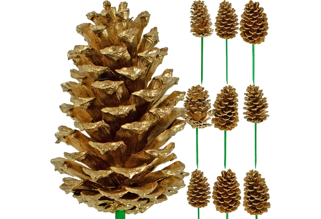Shiny Gold Pine Cones, Wooden Green Pick Attached, Packs of 60pcs - Etsy