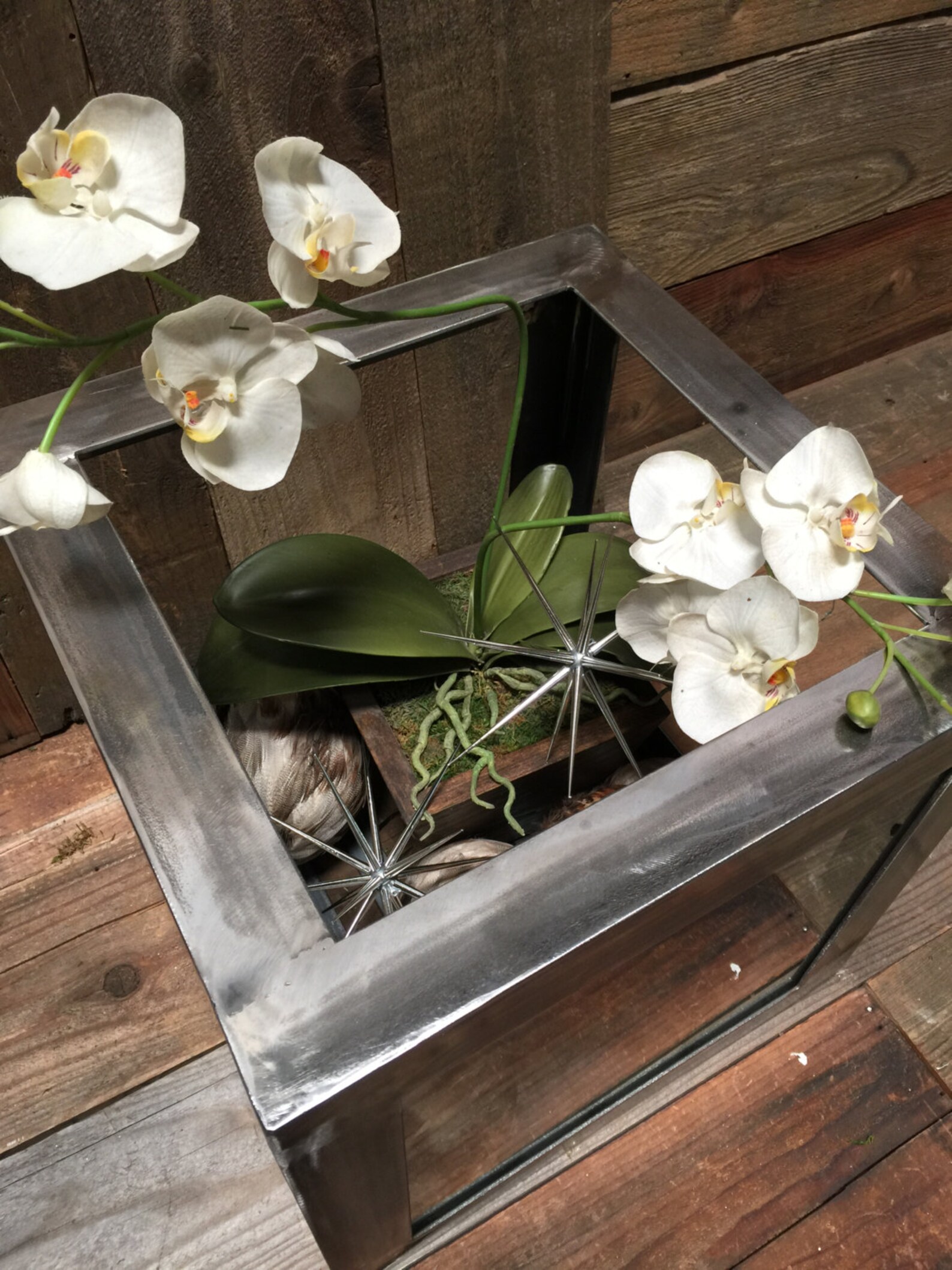 Steel Glass Terrarium Box Glass Showcase With Steel Frame 16in X 16in X ...