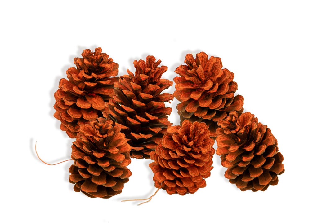 Shiny Orange Pine Cones, Hanging Wire Attached, Packs of 60pcs - Etsy
