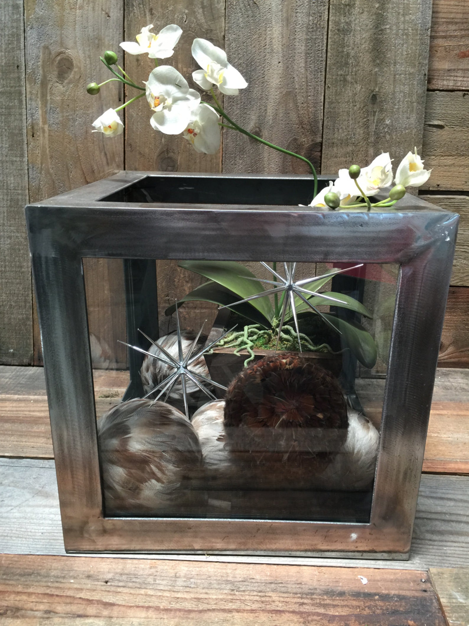 Steel Glass Terrarium Box Glass Showcase With Steel Frame 16in X 16in X ...