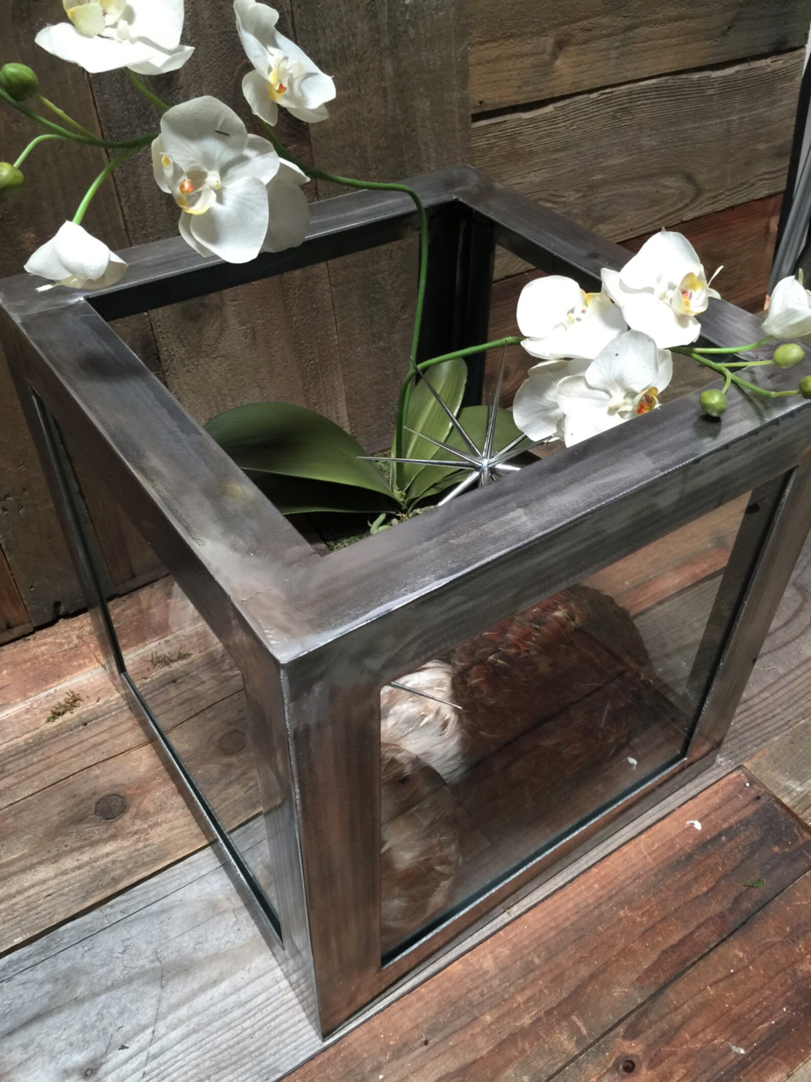 Steel Glass Terrarium Box Glass Showcase With Steel Frame 16in X 16in X ...