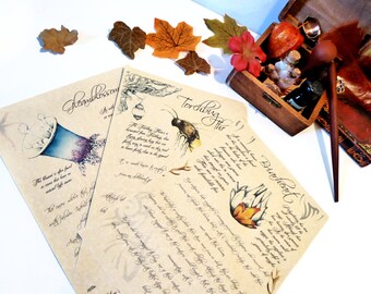 Alchemist Journal Pages Adventurer diary spells and alchemy | Etsy