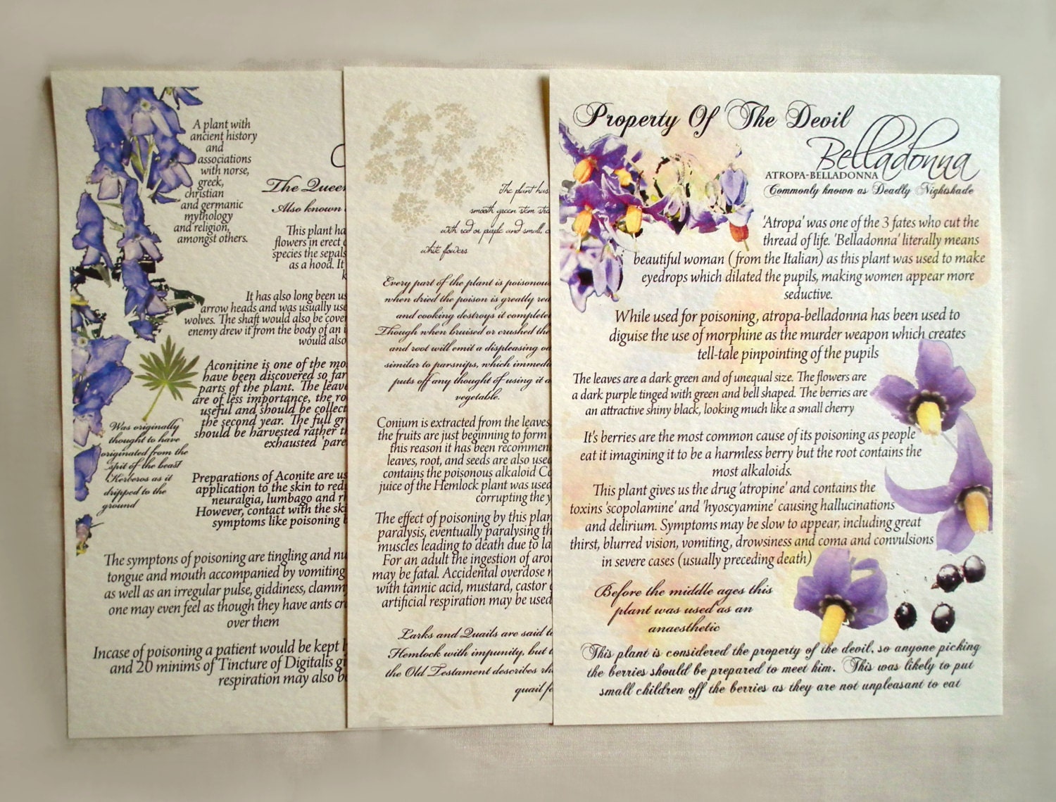 Poison Plant Journal Pages - Alchemy Ingredients, Grimoire, Book of ...