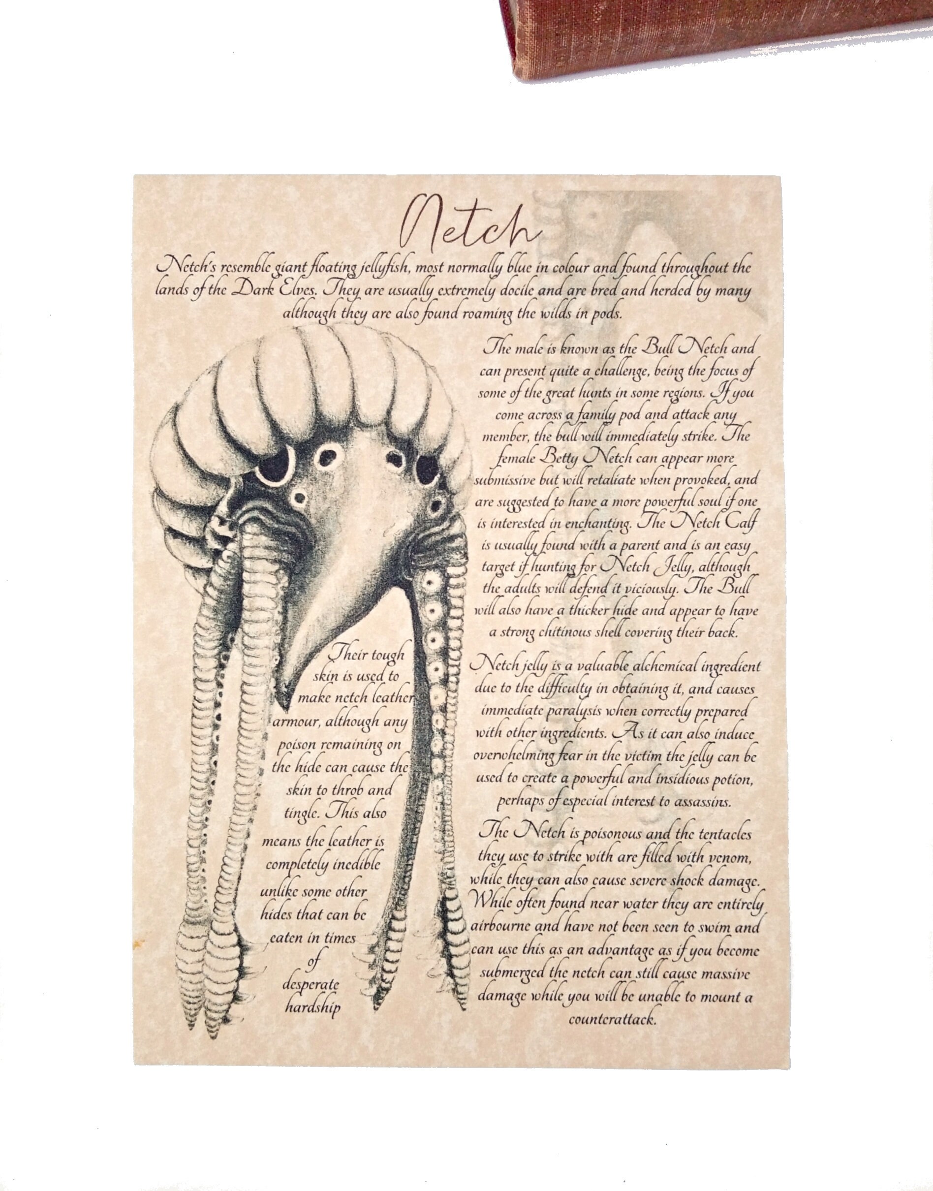 Creatures of Tamriel Bestiary Scrolls Journal Page Art | Etsy