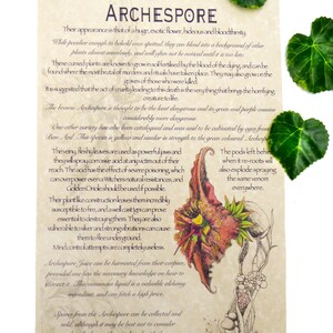 Bestiary Part 6: Witch Hunter White Wolf Journal Pages - Gamer Gifts ...