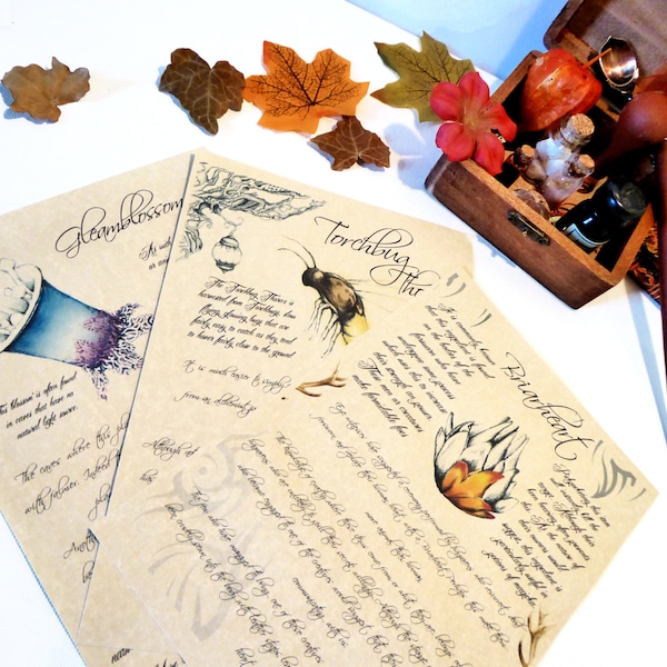 Alchemy Journal - Etsy