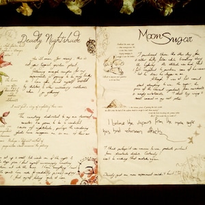 Alchemist Journal Pages, Adventurer Diary, Spells and Alchemy ...